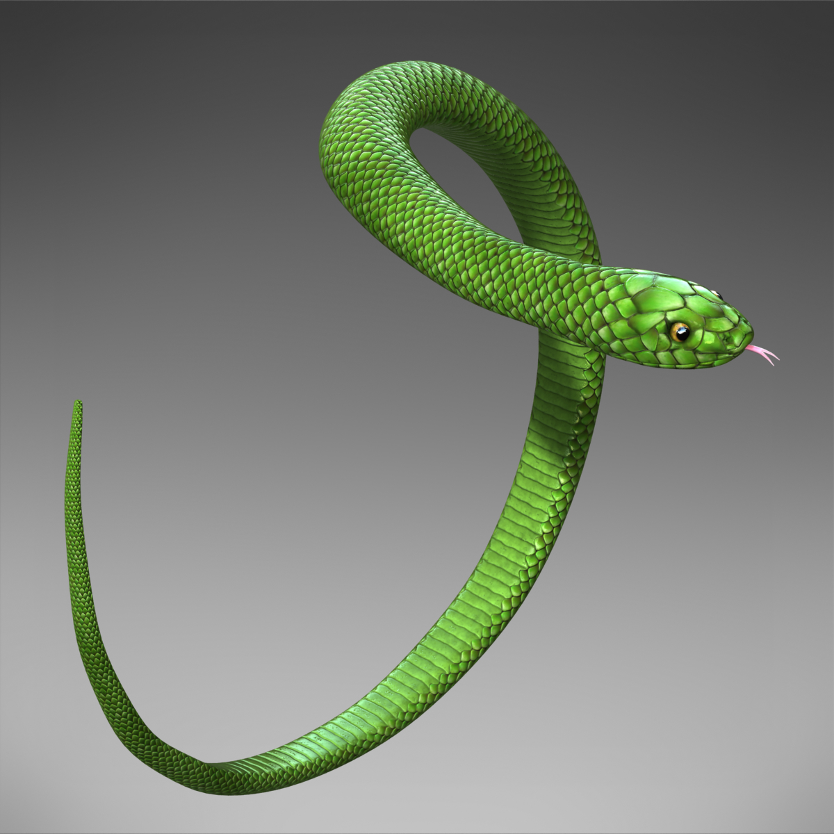 snake rigged 3d model