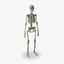 3d obj human skeleton