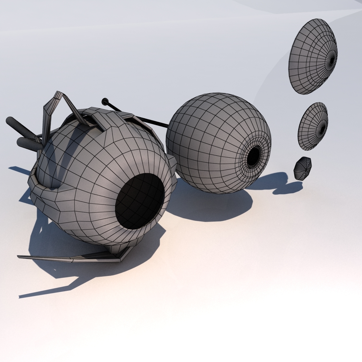 human eye muscles 3d model