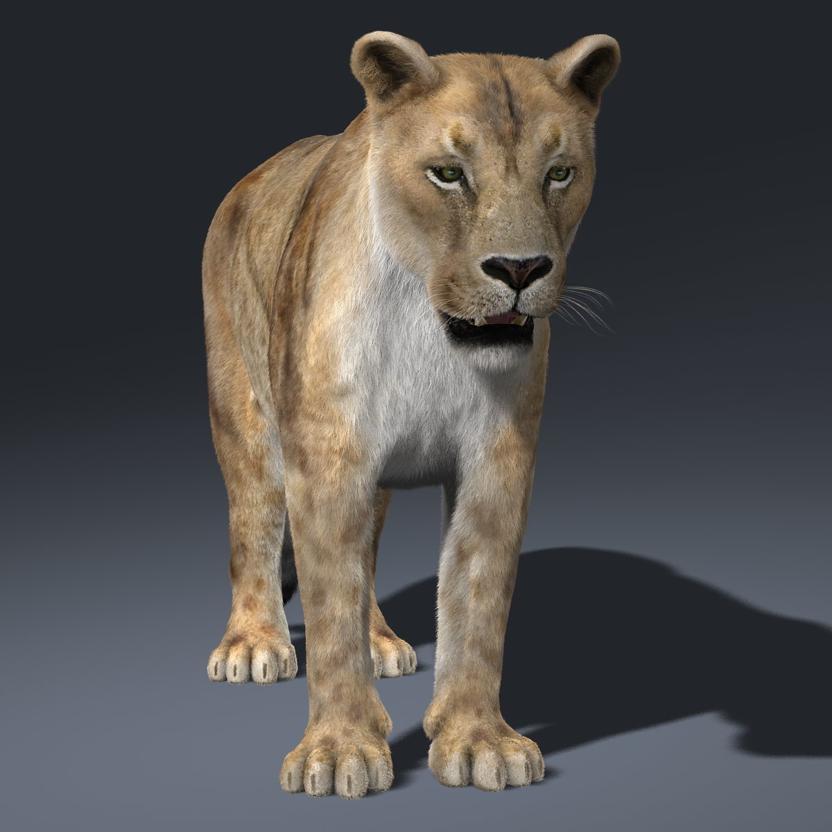 3d model lioness fur
