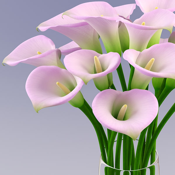 3d vase calla flowers