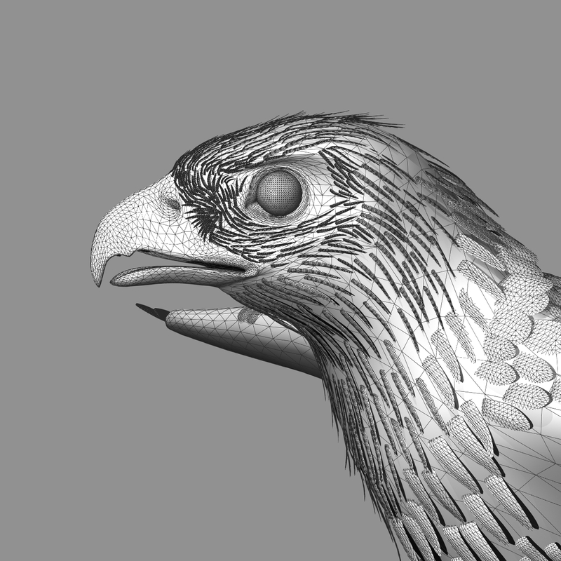 3d model red tailed hawk