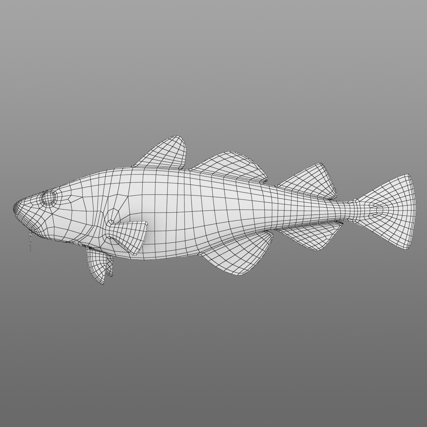 cod fish 3d model