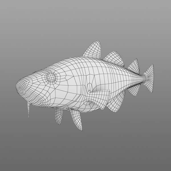 cod fish 3d model
