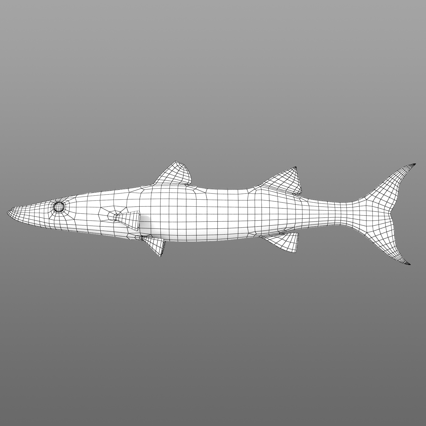 3ds barracuda fish
