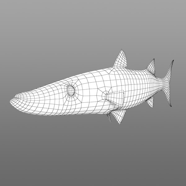 3ds barracuda fish