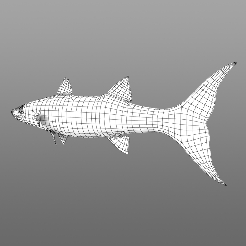 3ds barracuda fish