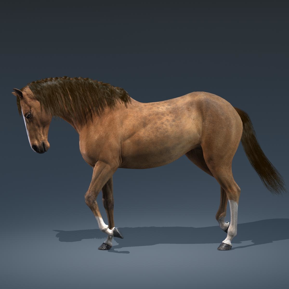3d model realistic horse