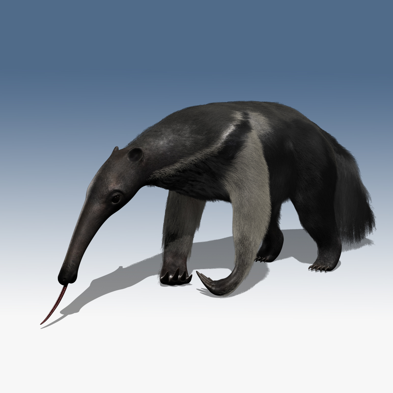 giant anteater obj