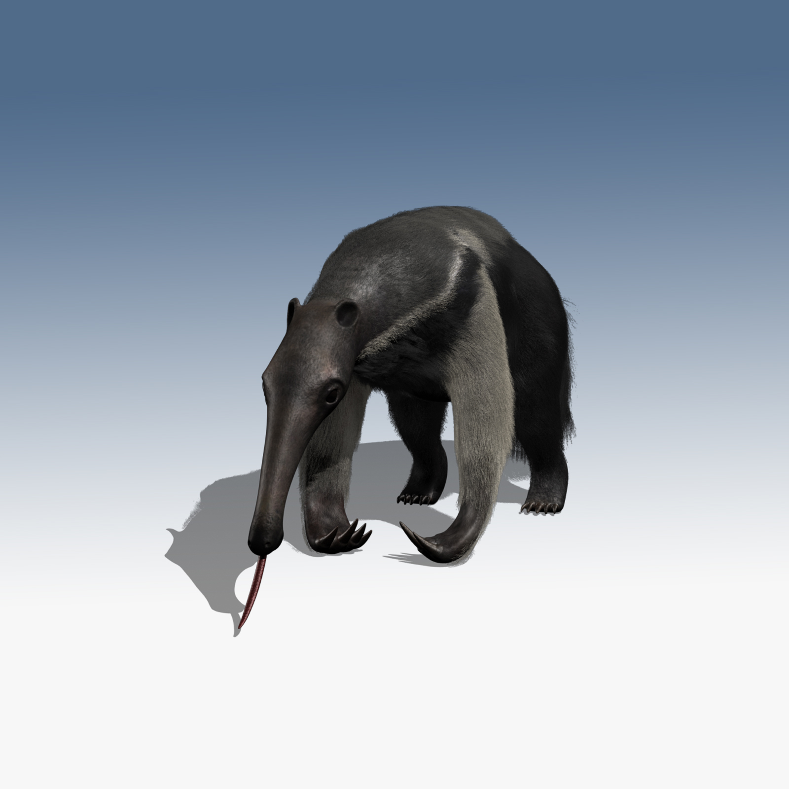 giant anteater obj