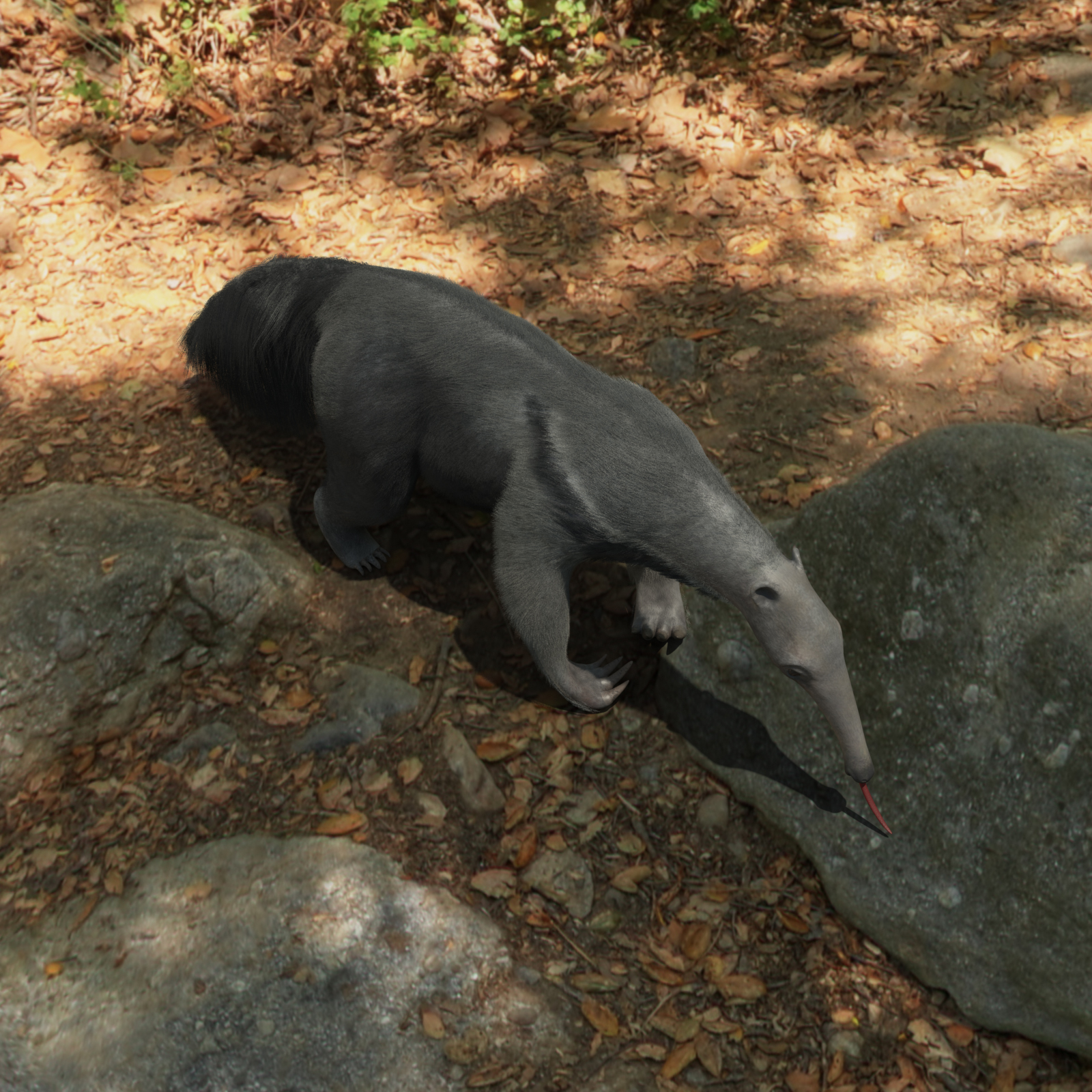 giant anteater obj