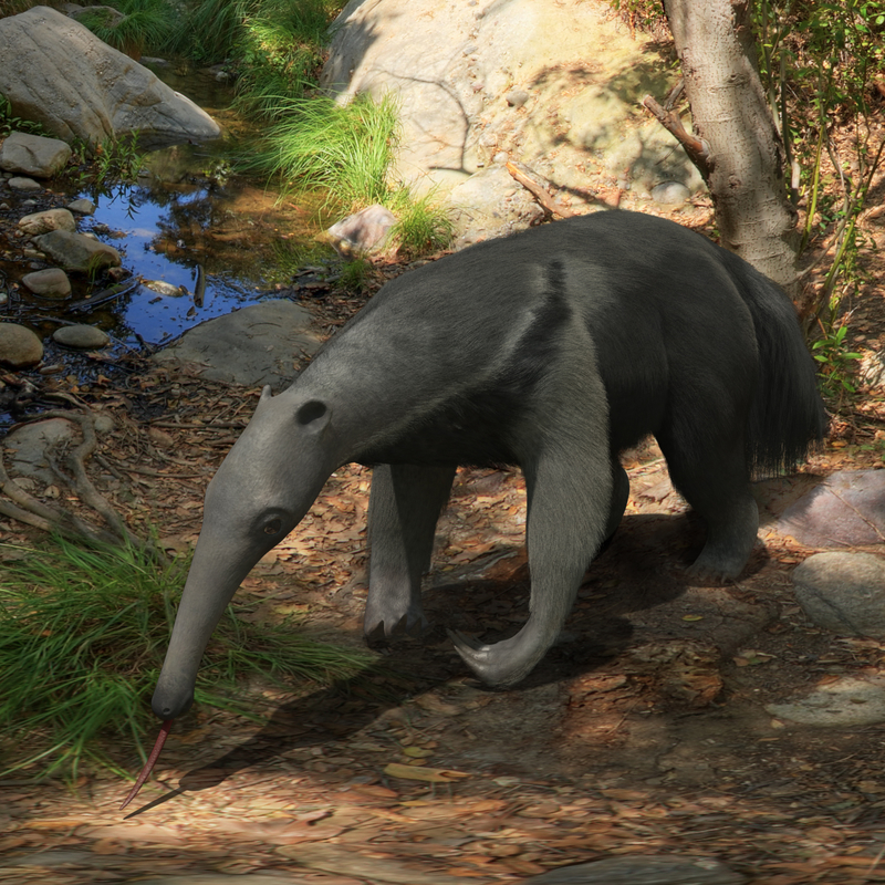 giant anteater obj