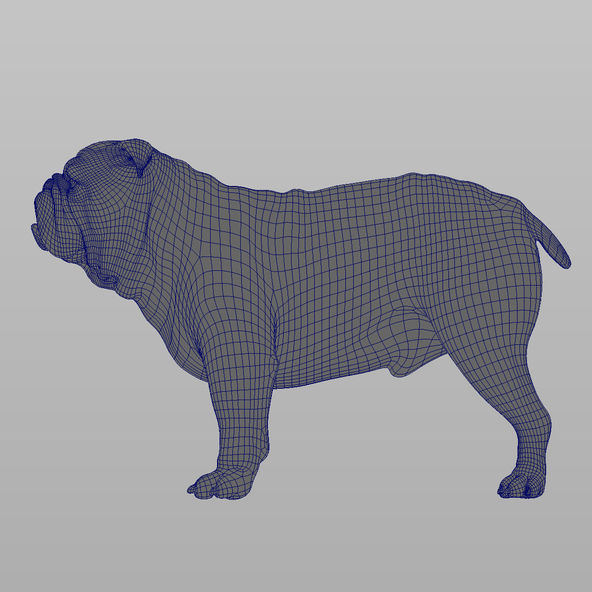 maya bulldog dog
