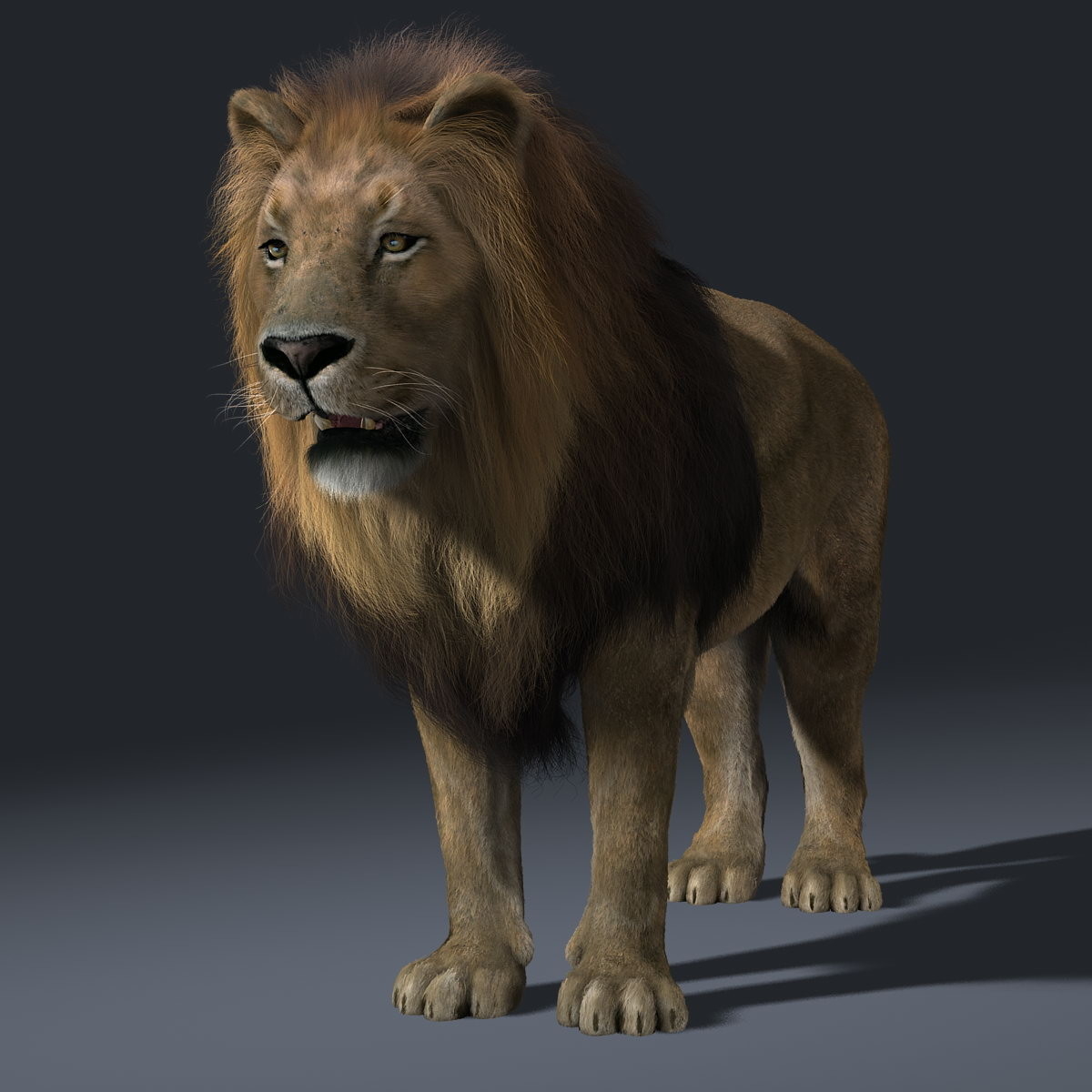 lion rigged fur 3d model