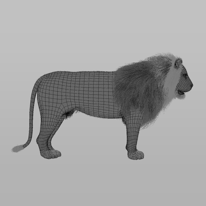lion rigged fur 3d model