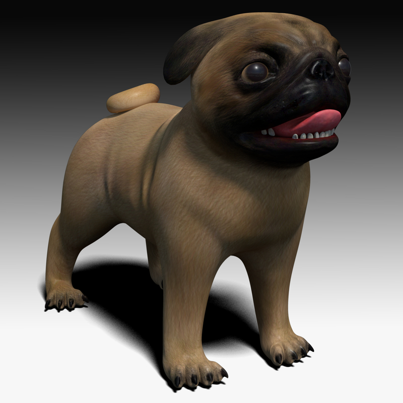 pug dog obj