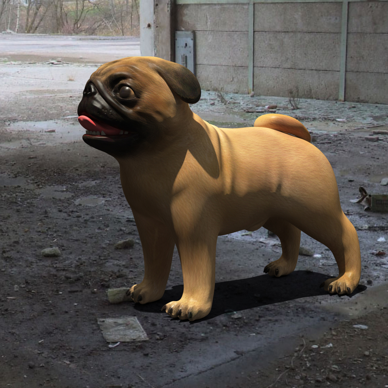 pug dog obj