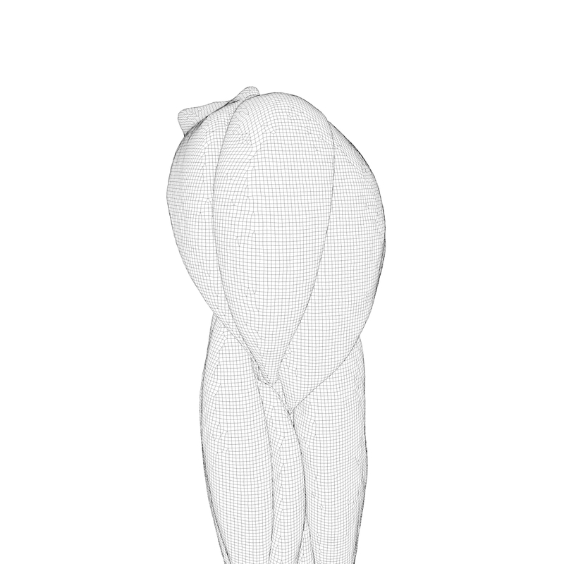 3d ultimate human upper arm