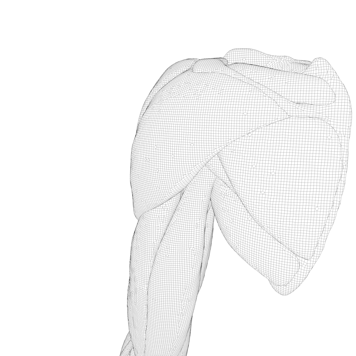 3d ultimate human upper arm
