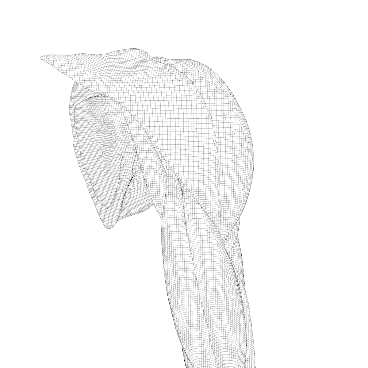 3d ultimate human upper arm