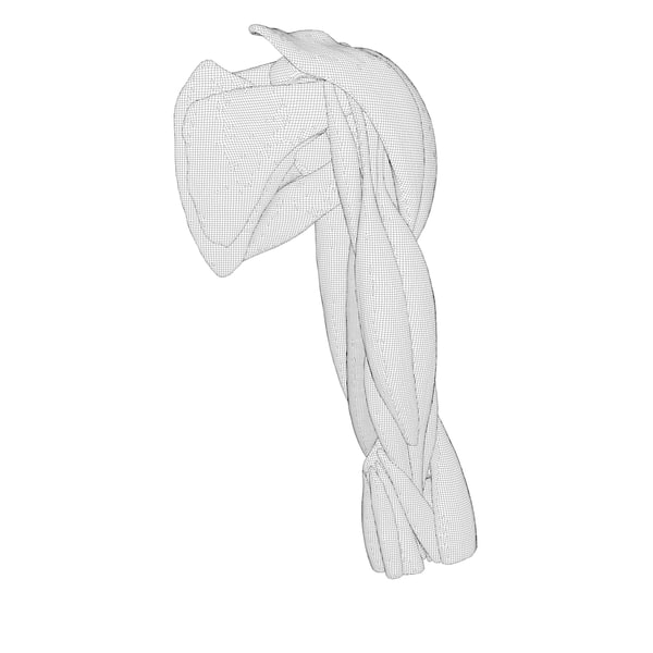 3d ultimate human upper arm