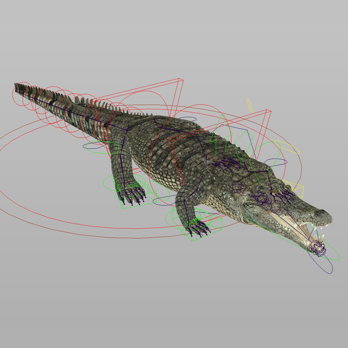 realistic crocodile animation 3d model