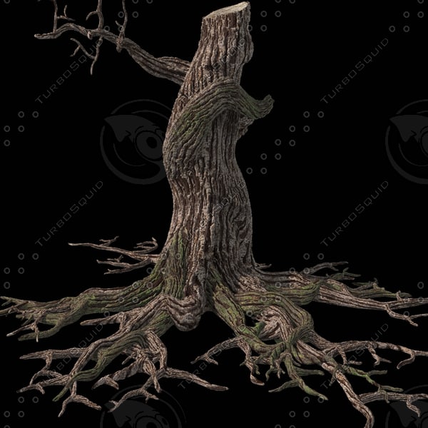 3d max dry tree