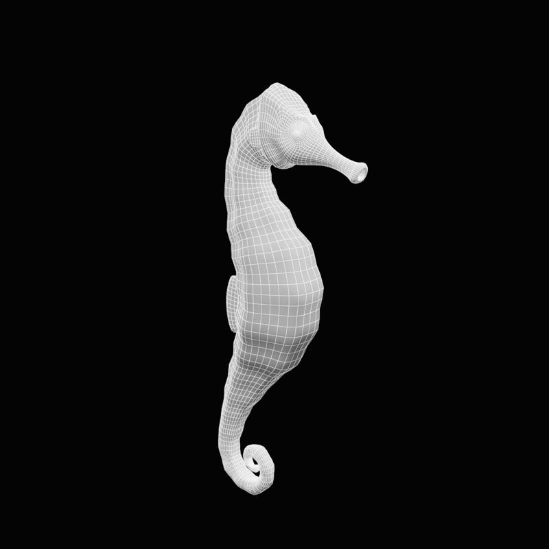 3d model sea horse