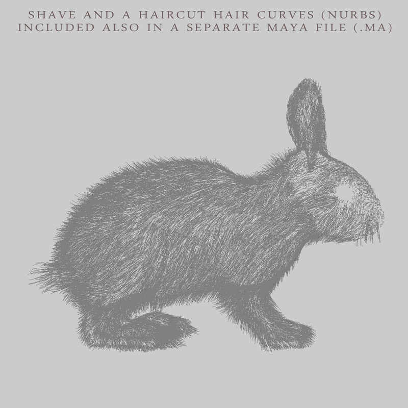 maya rabbit white fur animation