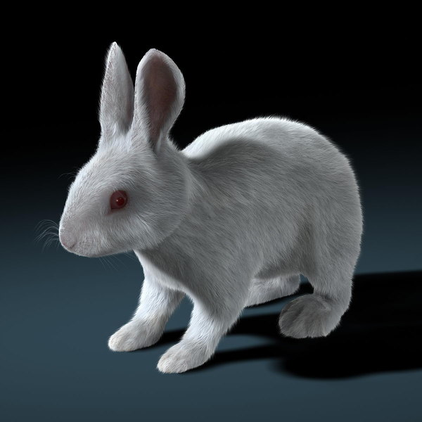 maya rabbit white fur animation
