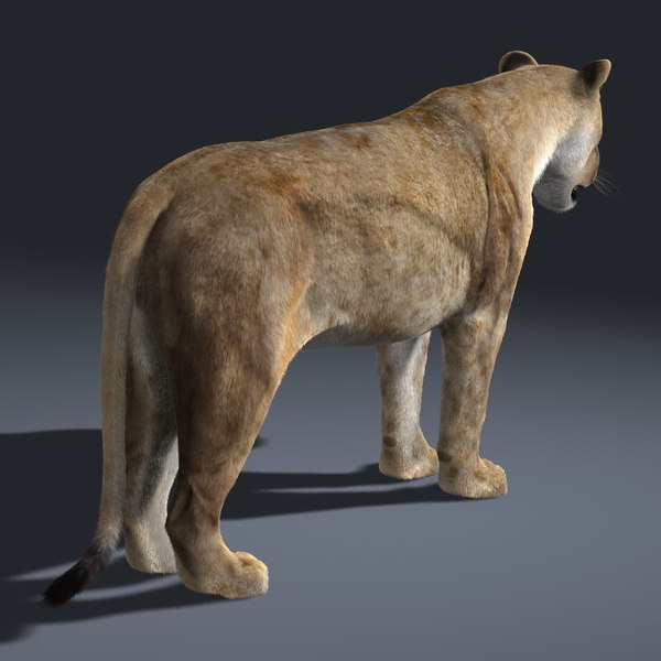 maya lioness rigged fur lion