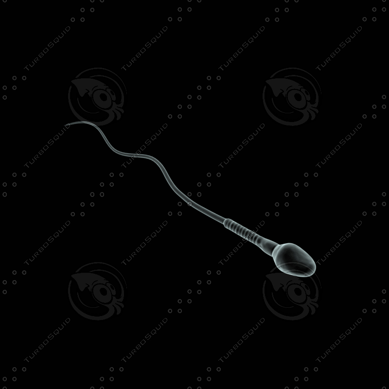 maya human sperm cell microscope