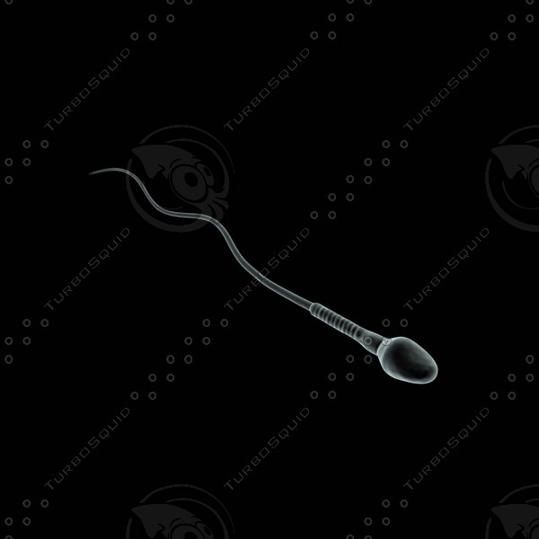maya human sperm cell microscope