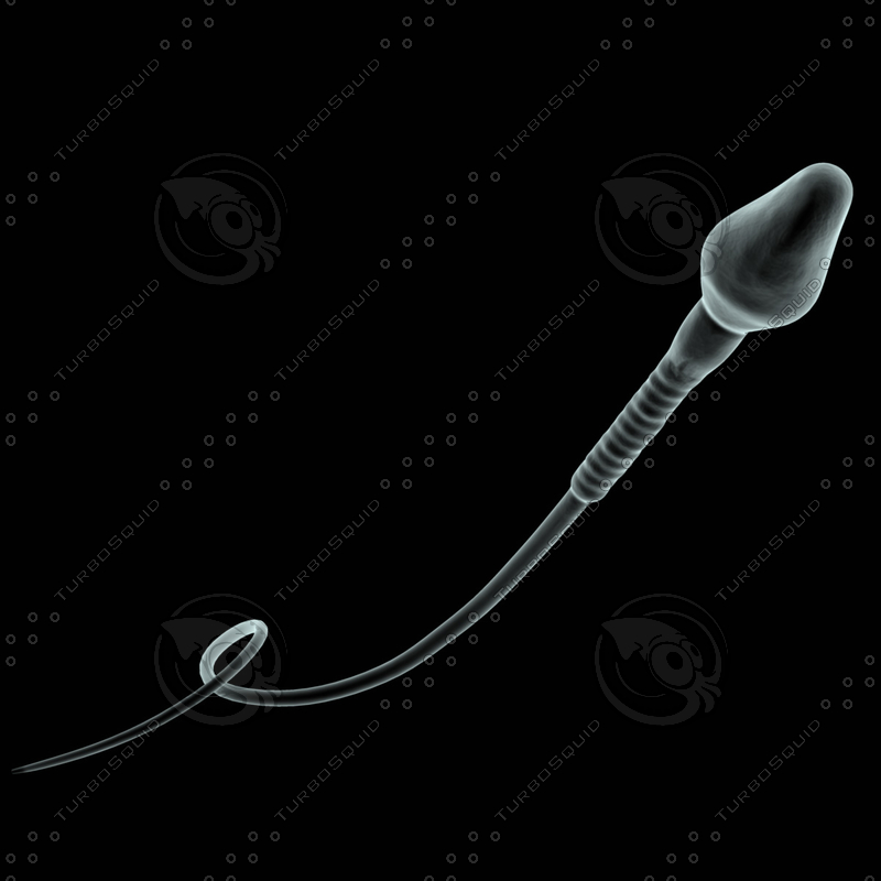 maya human sperm cell microscope