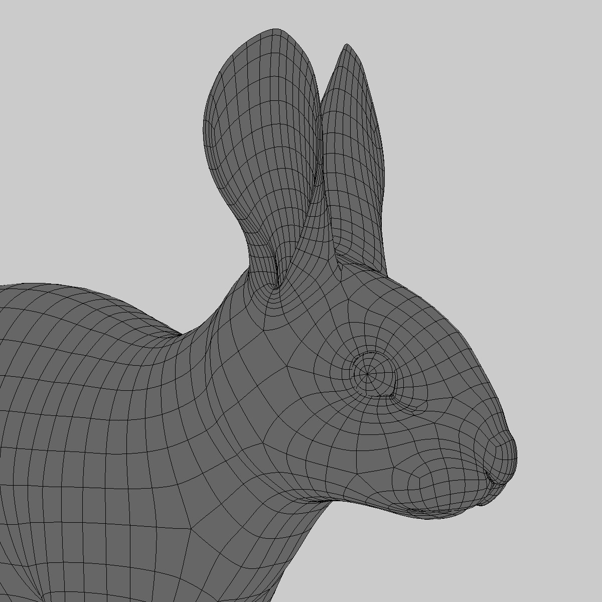 rabbit spotted fur animation 3d model