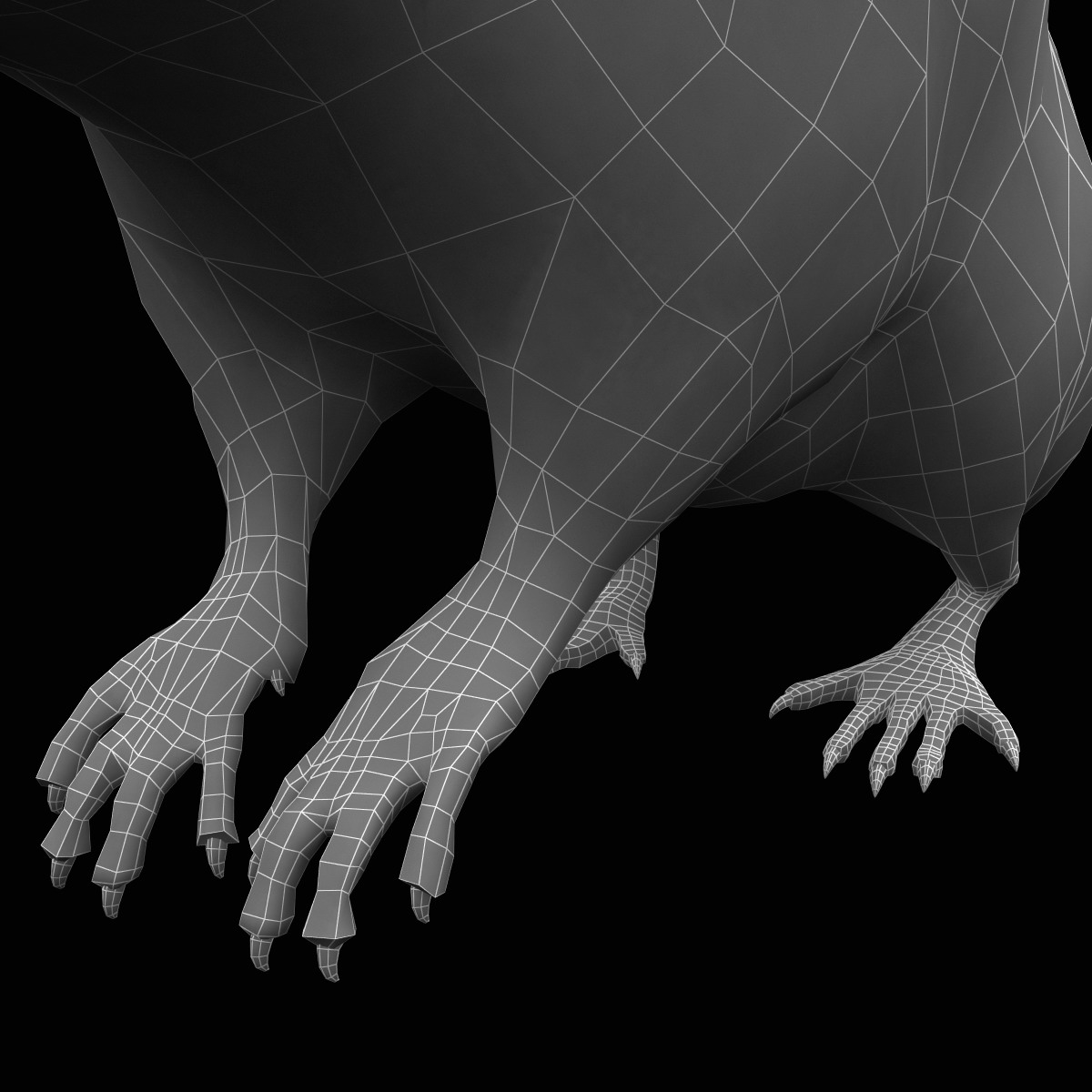 rat modelled 3d model
