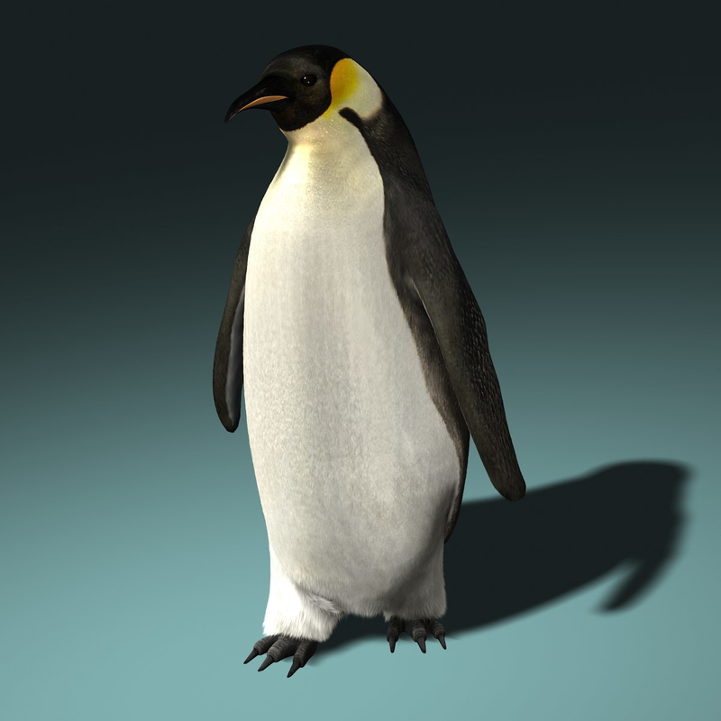 3d ma penguin fur animation