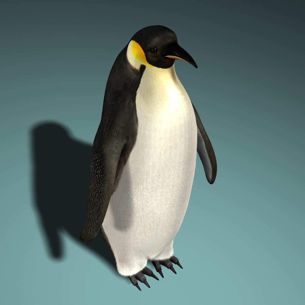 3d ma penguin fur animation