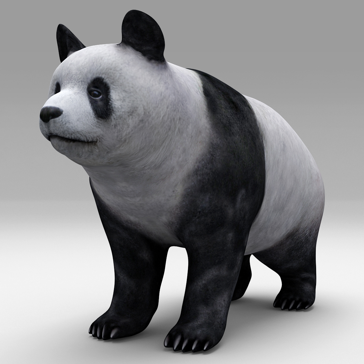 giant panda 3ds