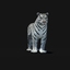3d model tiger color rigging animation
