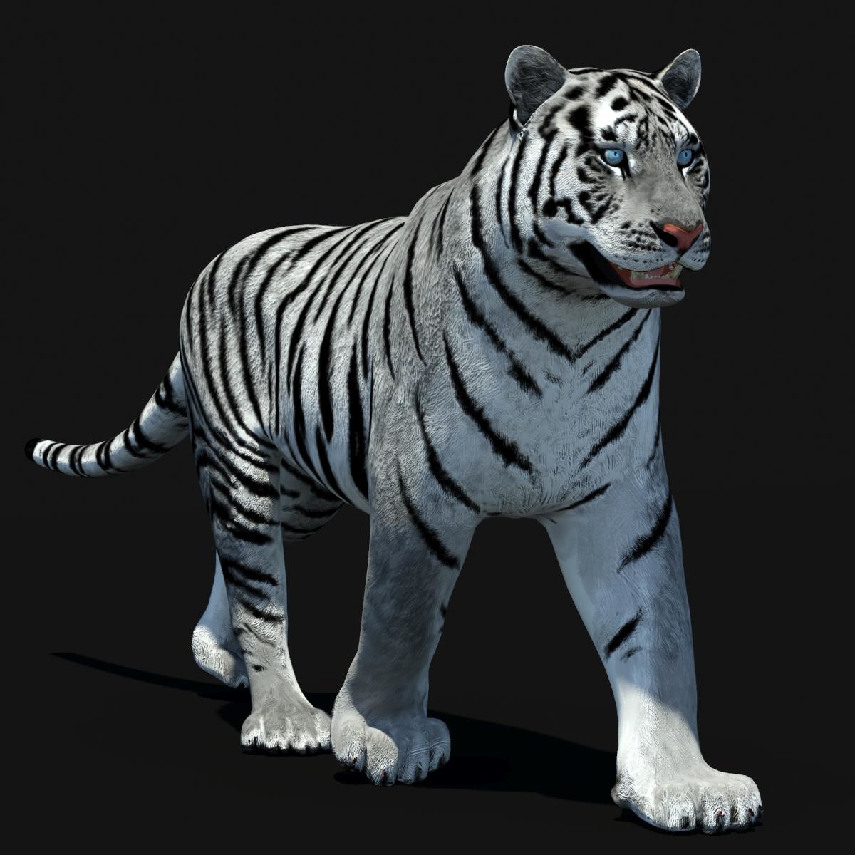 3d model tiger color rigging animation