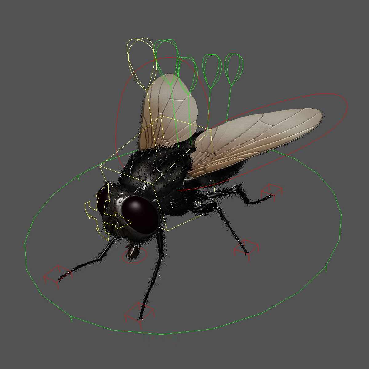 housefly rigged 3d model