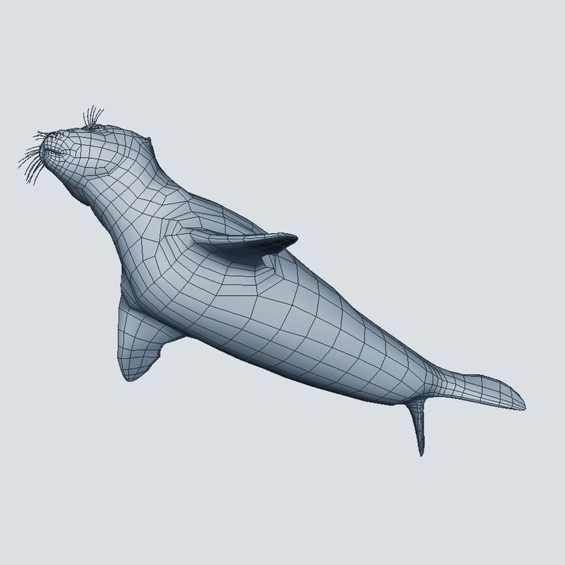 modelo 3d Foca de puerto - TurboSquid 721350