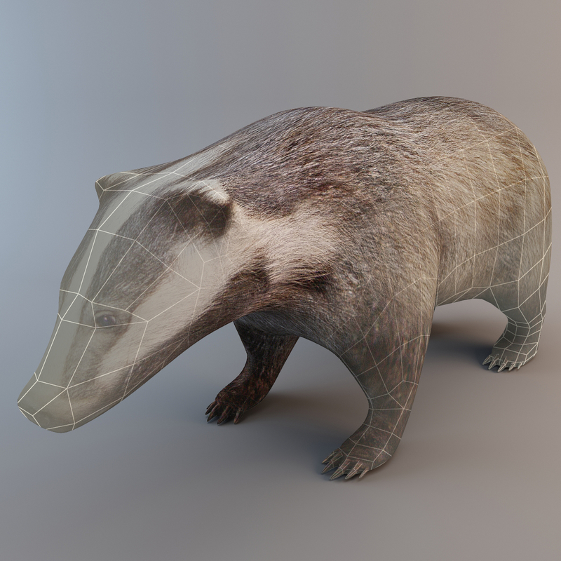 3ds european badger