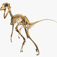 Dryosaurus Skeleton