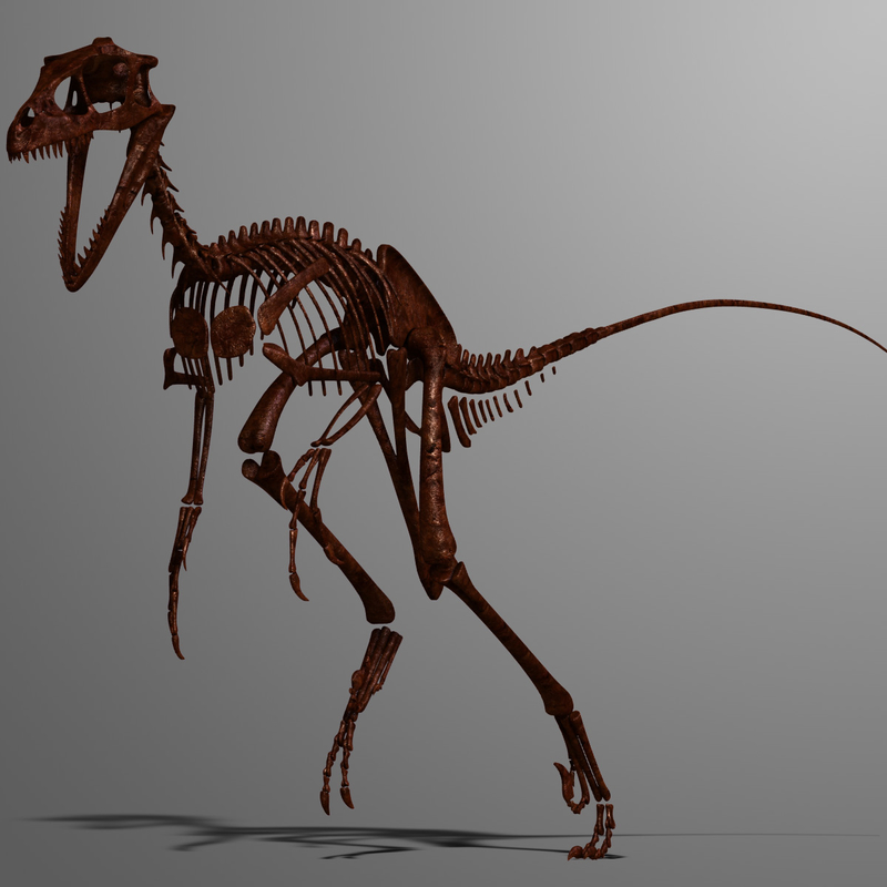 3d model dino skeleton dromaeosaurus