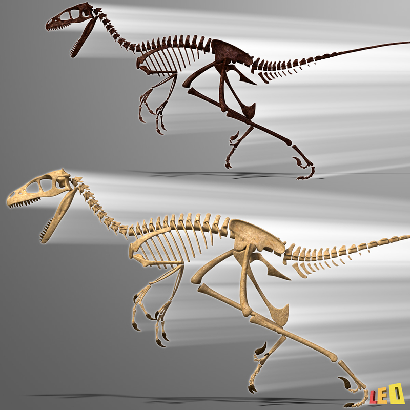3d model dino skeleton dromaeosaurus