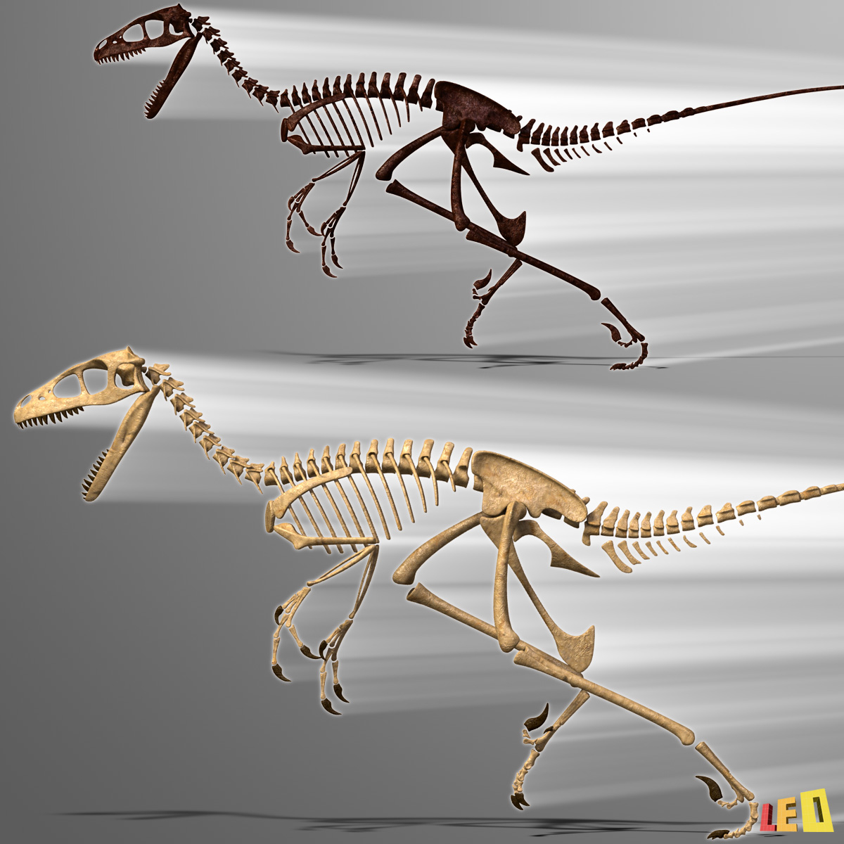 3d model dino skeleton dromaeosaurus