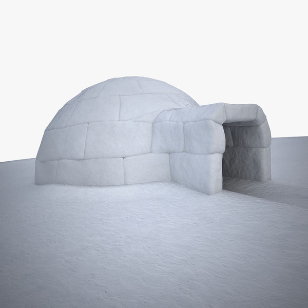 3d model igloo