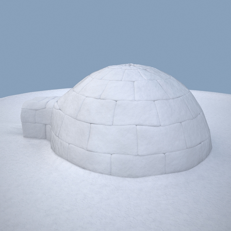 3d model igloo